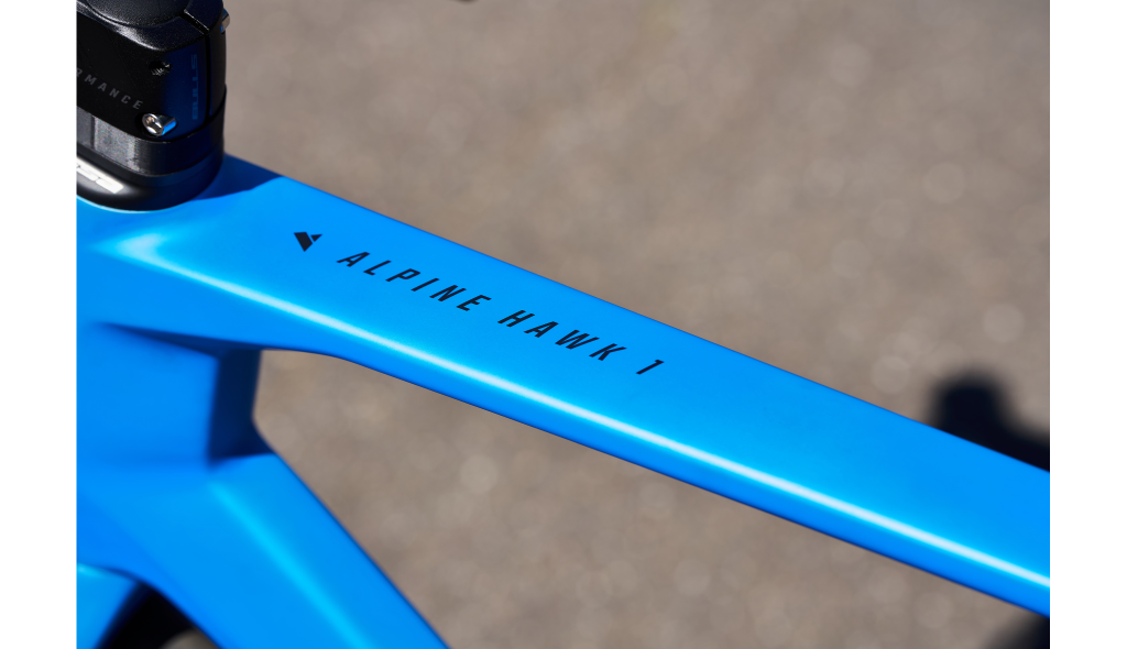 Alpine Hawk 1_2022_Diamant_gris clair mat/carbone